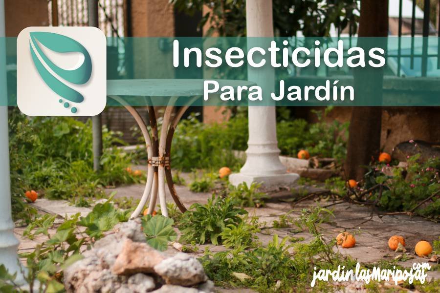 Los INSECTICIDAS para Jardín 🥇 ELIMINA Tus PLAGAS